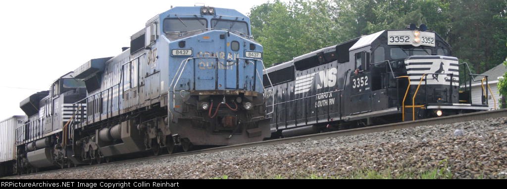 NS 8437
